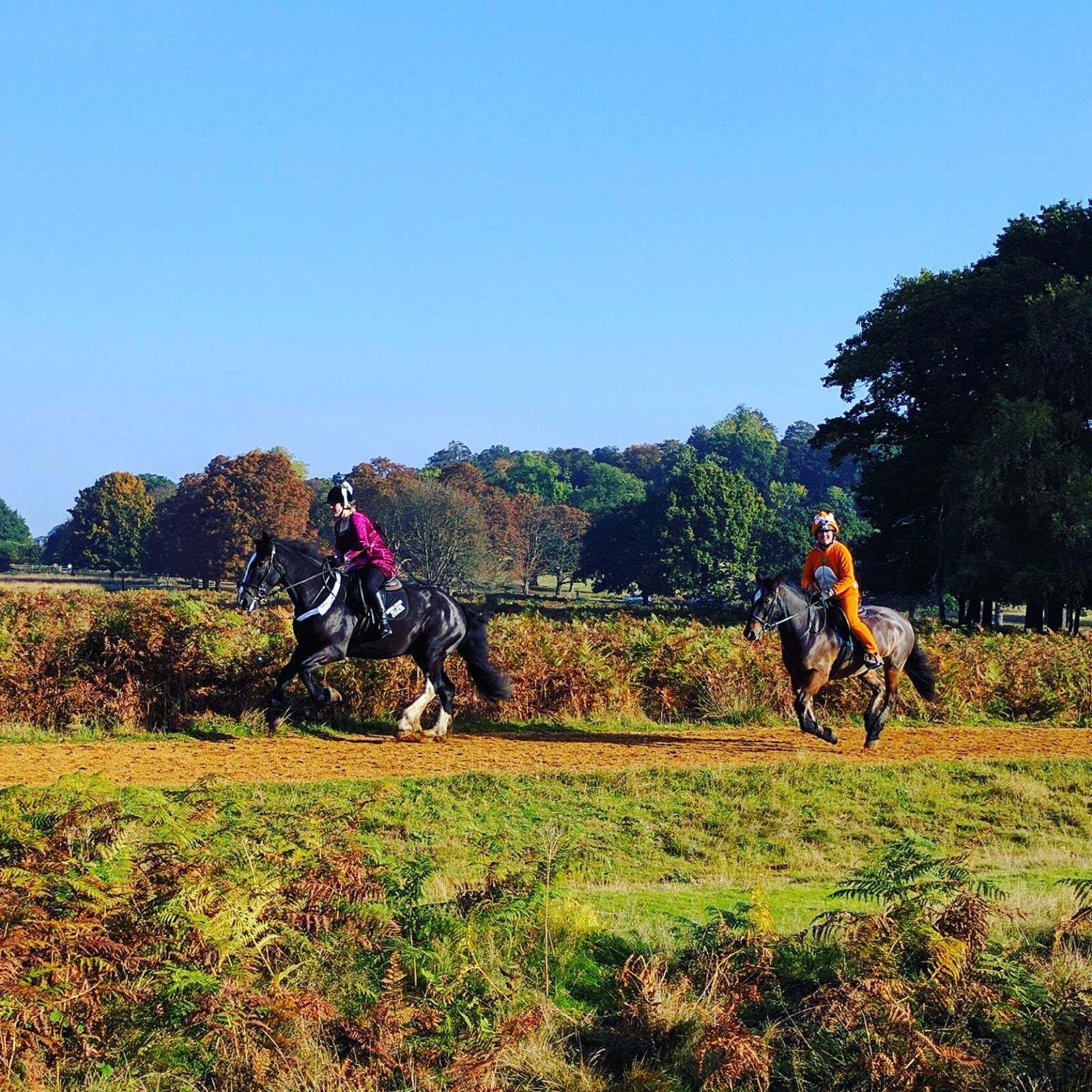 Wimbledon Village Stables Successful Fancy Dress Day — Lady Wimbledon