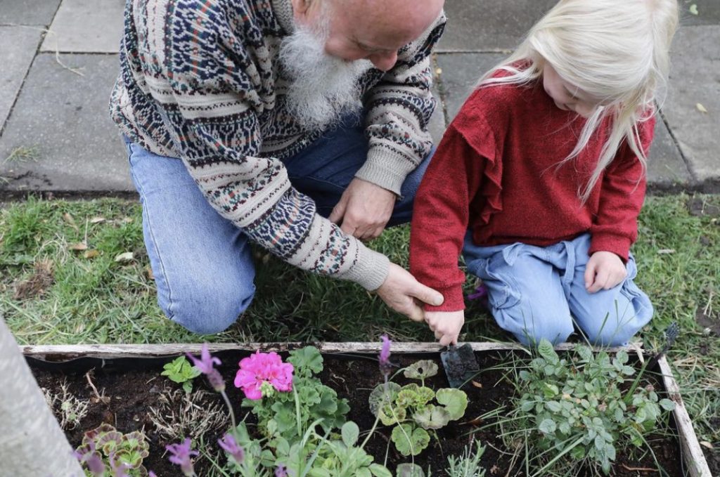 Merton Garden Scheme - it’s time to revive the town!